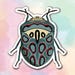 Picasso Bug Vinyl Sticker Hand-drawn, Waterproof, Available in Multiple ...