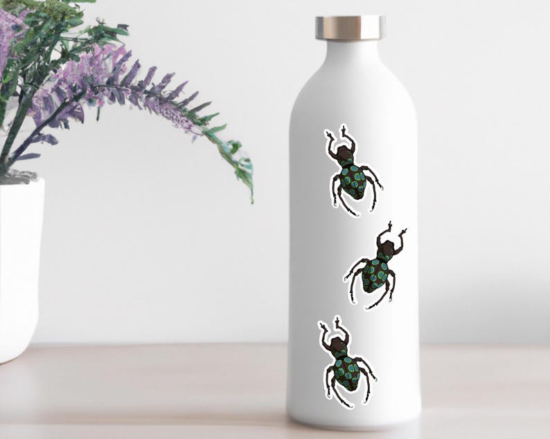 Rainbow Weevil | Vinyl Sticker | Hand-drawn, Waterproof, Available in ...