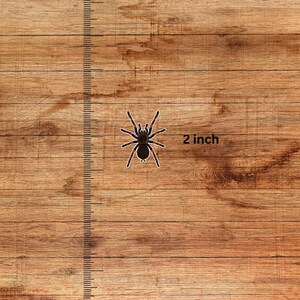 Mexican Red Knee Tarantula | Vinyl Sticker | Hand-drawn, Waterproof ...