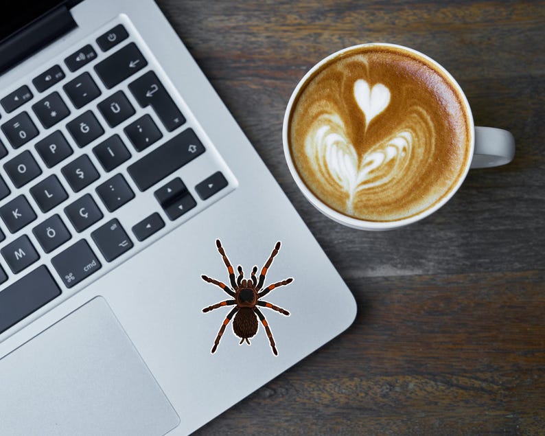 Mexican Red Knee Tarantula | Vinyl Sticker | Hand-drawn, Waterproof ...