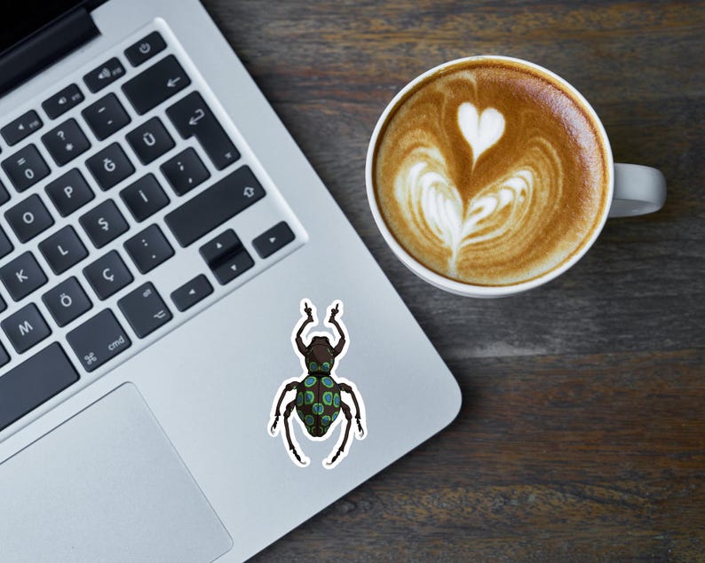 Rainbow Weevil | Vinyl Sticker | Hand-drawn, Waterproof, Available in ...