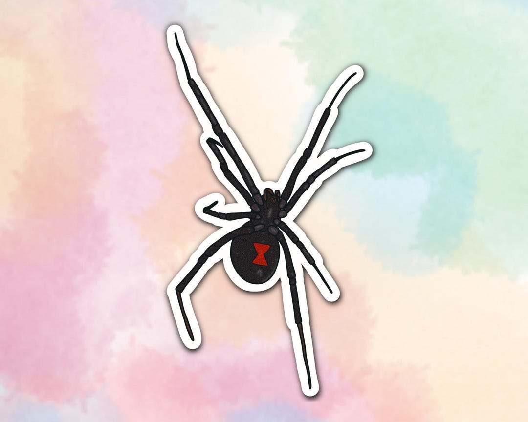 Black Widow Spider | Vinyl Stickers | Hand-drawn, Waterproof, Available ...