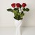 Pack of 16 Long-stem White Preserved Roses | Mother's Day Gift ...