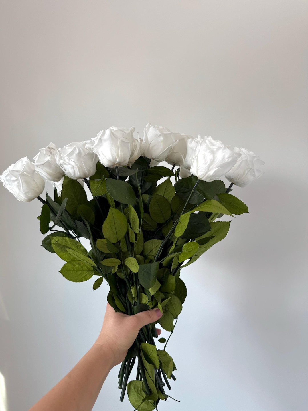 Pack of 16 Long-stem White Preserved Roses | Mother's Day Gift ...