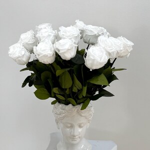 Pack of 16 Long-stem White Preserved Roses | Mother's Day Gift ...