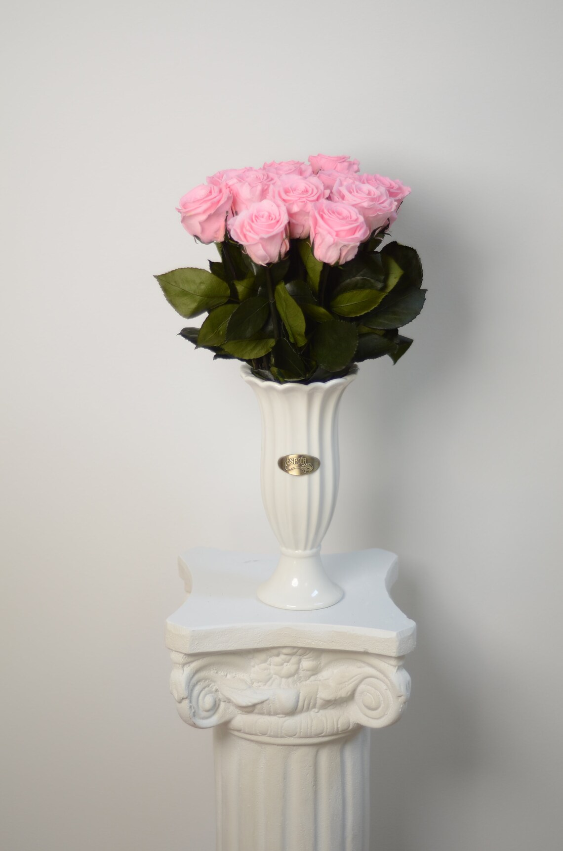 12 Preserved Roses in Ceramic White Vase / Dozen Forever Roses ...