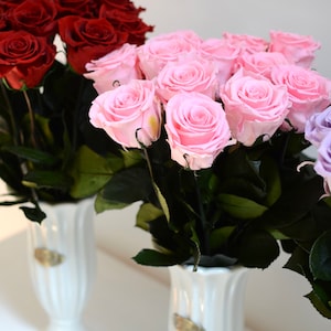 12 Preserved Roses in Ceramic White Vase / Dozen Forever Roses ...