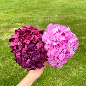 Ecuadorian Preserved Hydrangea Stem: Real Wedding Flowers - Etsy