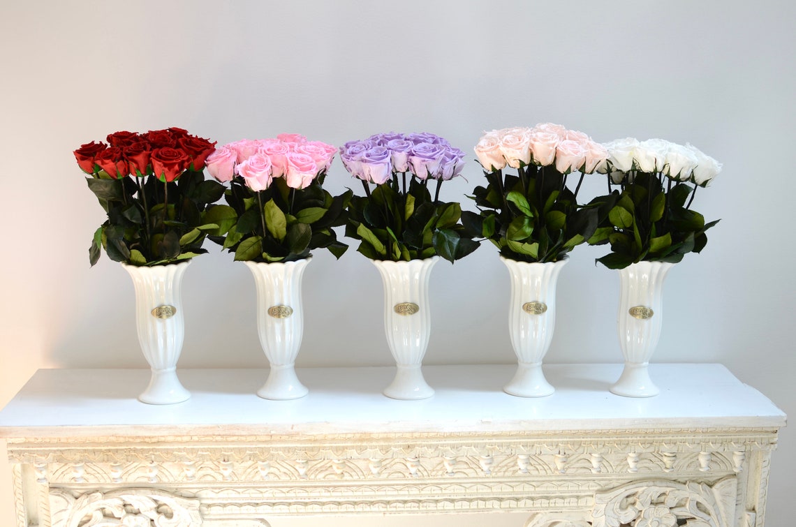 12 Preserved Roses in Ceramic White Vase / Dozen Forever Roses ...