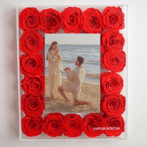 Forever Rose Picture Display 18 Preserved Roses in Acrylic Display Wall ...