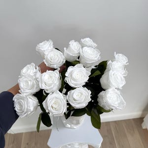 Pack of 10 Long-stem White Preserved Roses | Mother's Day Gift ...