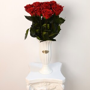 12 Preserved Roses in Ceramic White Vase / Dozen Forever Roses ...