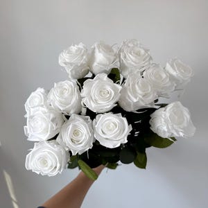 Pack of 10 Long-stem White Preserved Roses | Mother's Day Gift ...