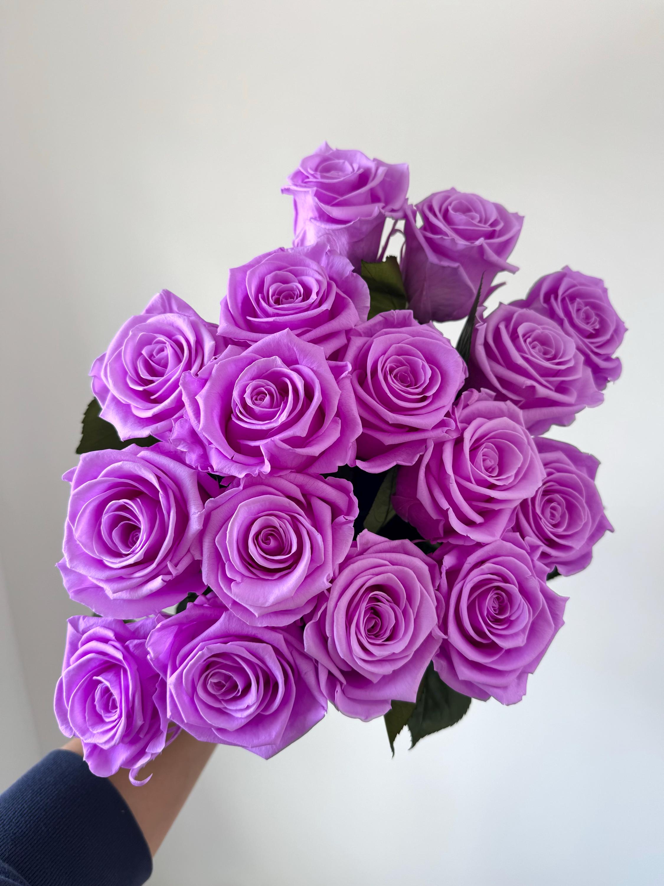 Pack of 10 Purple Preserved Roses: Ecuadorian Forever Flowers - Etsy