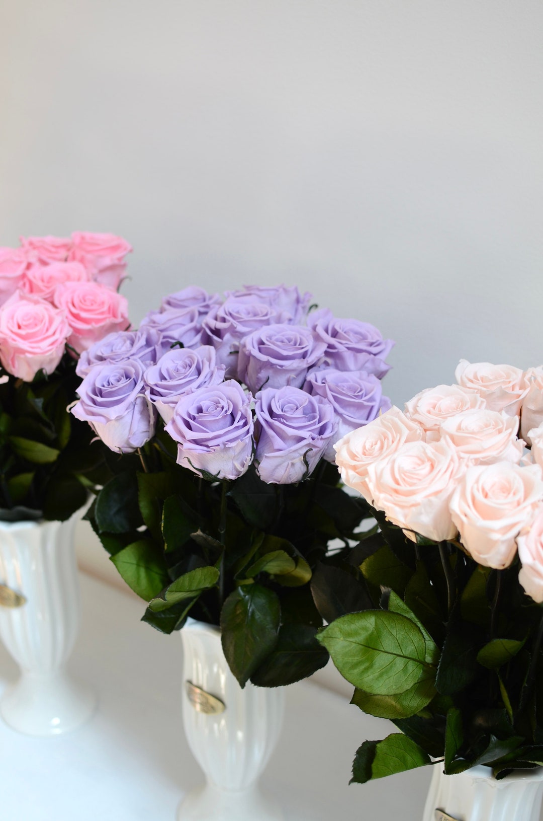 12 Preserved Roses in Ceramic White Vase / Dozen Forever Roses ...