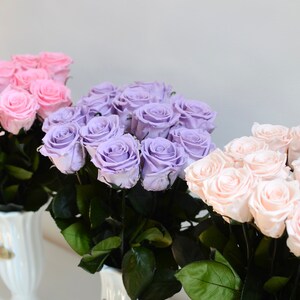 12 Preserved Roses in Ceramic White Vase / Dozen Forever Roses ...