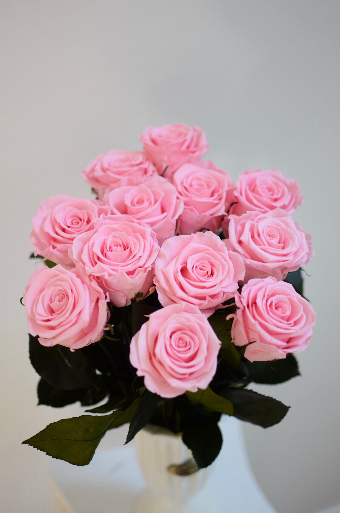 12 Preserved Roses in Ceramic White Vase / Dozen Forever Roses ...