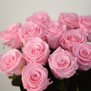 12 Preserved Roses in Ceramic White Vase / Dozen Forever Roses ...