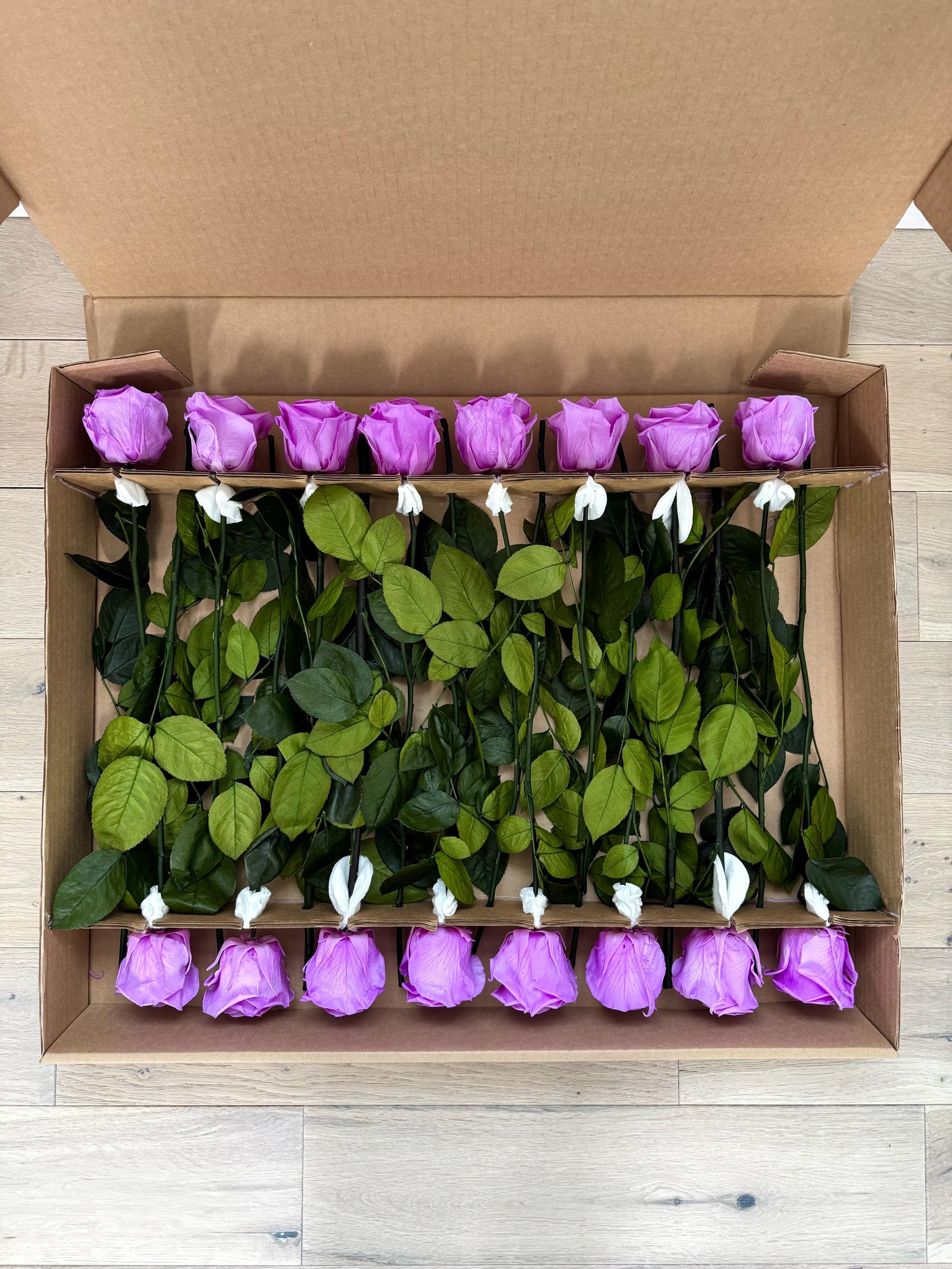 Pack of 10 Purple Preserved Roses: Ecuadorian Forever Flowers - Etsy