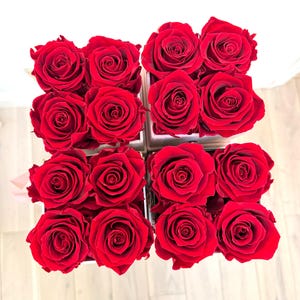 4 Preserved Roses in Square Box | Mother's Day Gift | Forever Roses ...