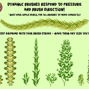 100 Procreate Leaves and Greenery Brushes! Realistic Foliage Brushes ...