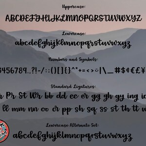 Hand Lettered Script Font, Hand Drawn Font, Branding Font, Modern ...