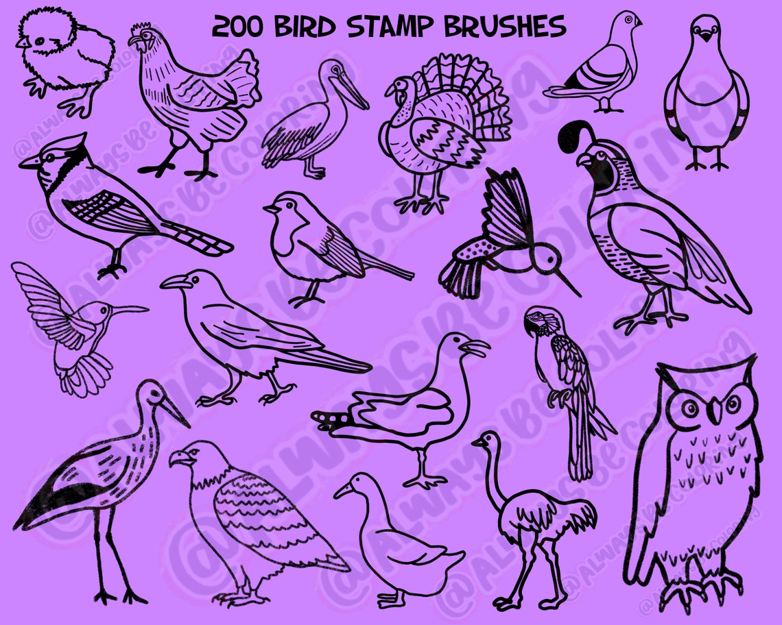 200 Hand Drawn Birds Procreate Stamp Brushes! for DIY Cards, Drawings ...