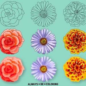 Procreate A to Z Flower Illustration Set! 120 Procreate Brushes & 68 ...