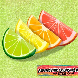 INSTANT DOWNLOAD! Custom Citrus Fruit Color Palette & PDF Color ...