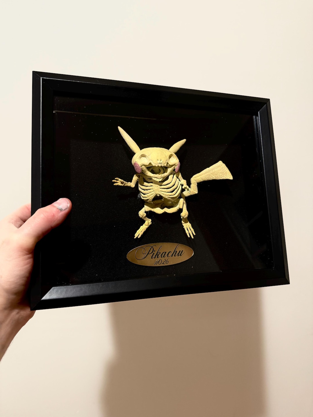 Pikachu Skeleton Taxidermy Shadowbox 8x11 - Etsy