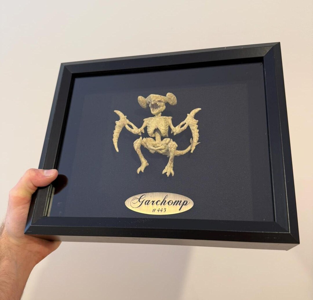Garchomp Skeleton Taxidermy Shadowbox 8x11 - Etsy
