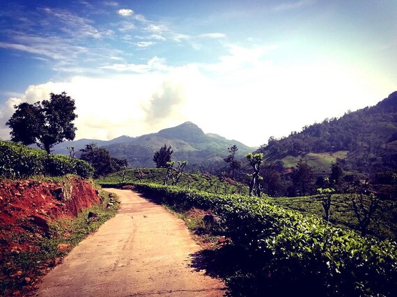 Sri Lanka Badulla Village Road Beautiful Morning Scenery - Etsy