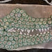 Alligator Bottle Cap Art - Etsy