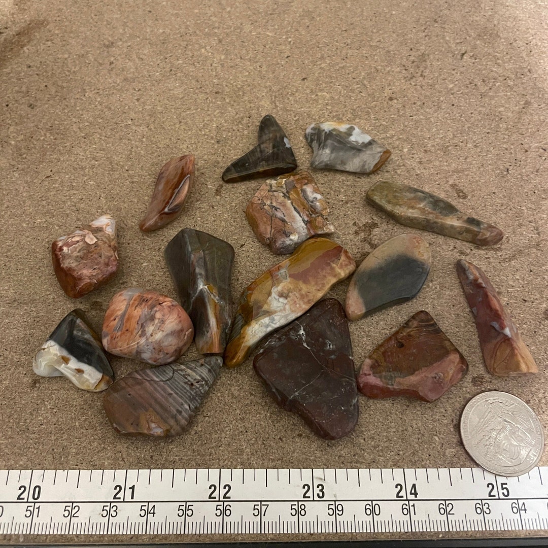 Tumbled Ohio Flint Lot of 15 1 Inch Pieces Crystals Mined in Midwestern ...