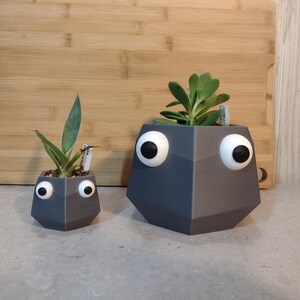 Rock Pikmin Planter Pot Video Game Decor - Etsy