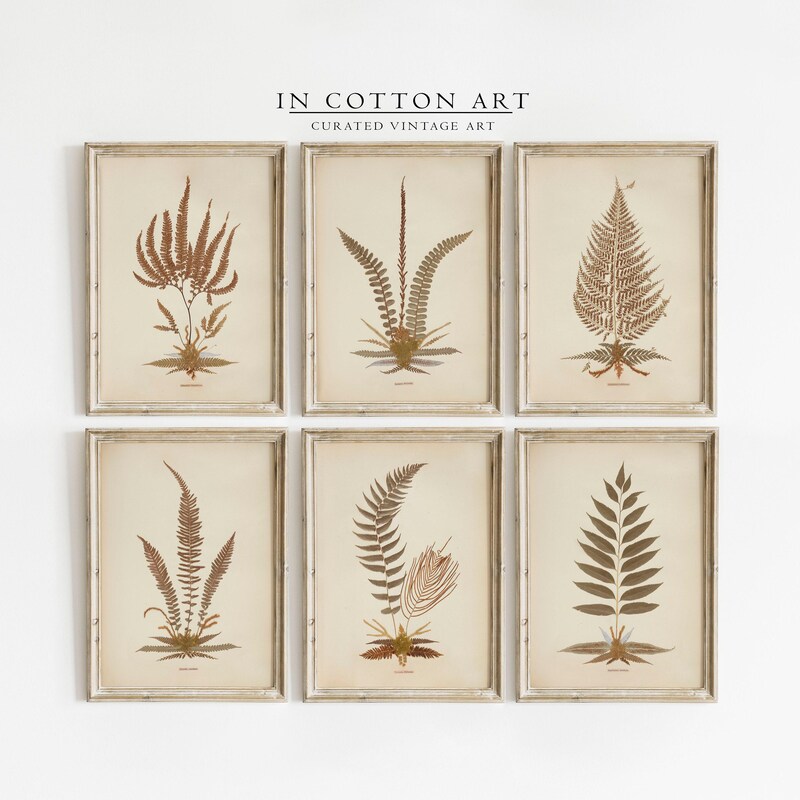 Botanical Prints Set of 6 - Etsy