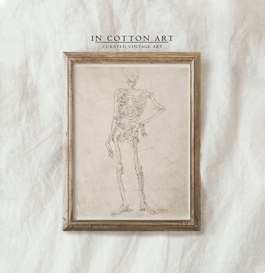 Printable Human Skeleton Sketch / Neutral Halloween Print / Farmhouse ...