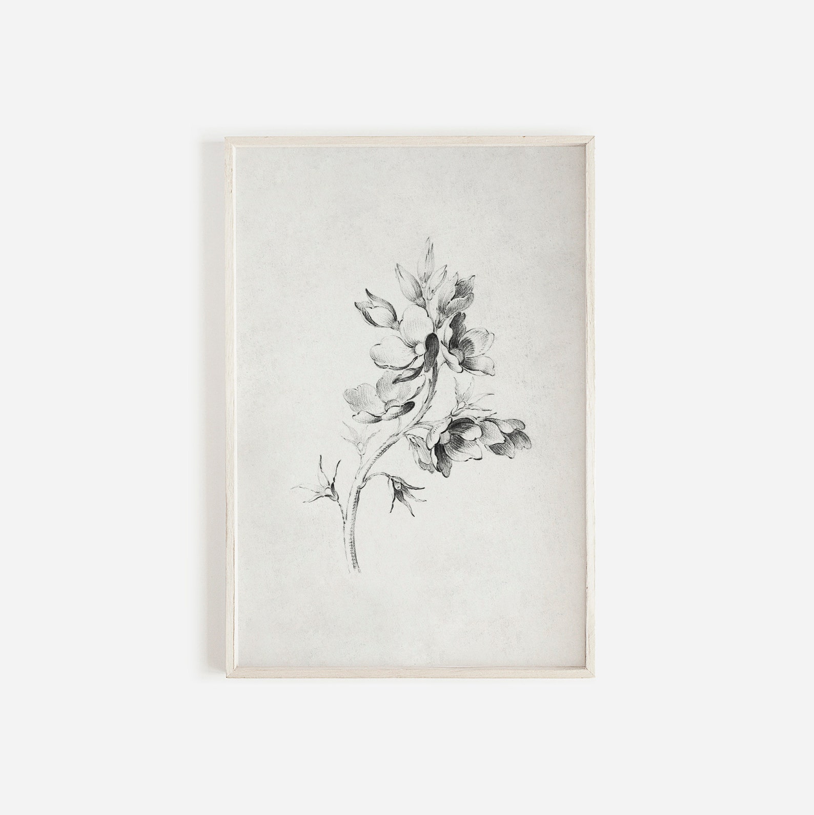 Vintage Sketch Art Printable Minimalist Antique Drawing | Etsy
