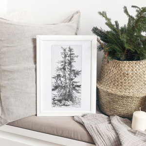 Winter Pine Tree Drawing / Holiday Tree Art Print PRINTABLE / Christmas ...