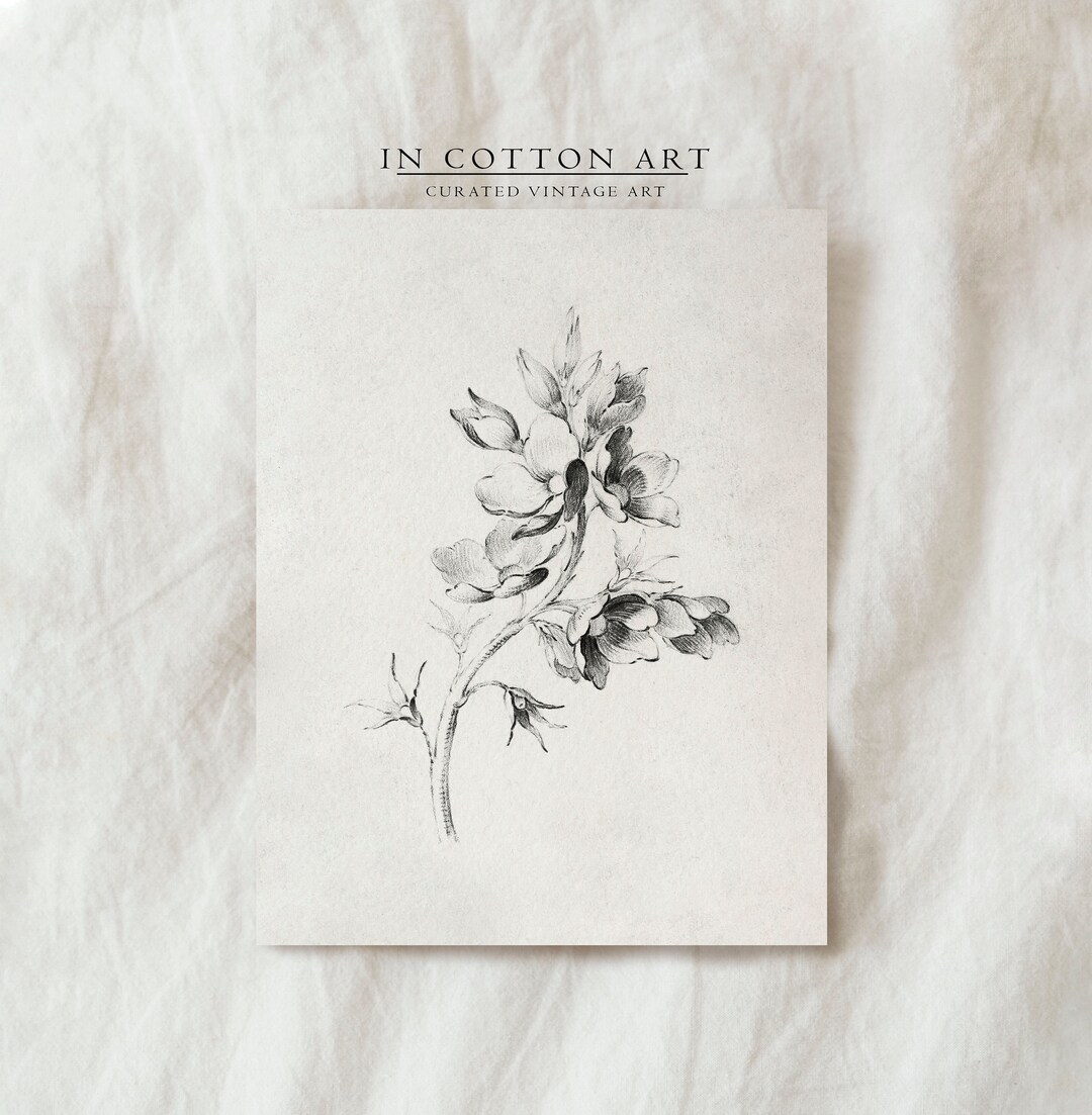 Vintage Sketch Art Printable, Minimalist Antique Drawing, Farmhouse ...
