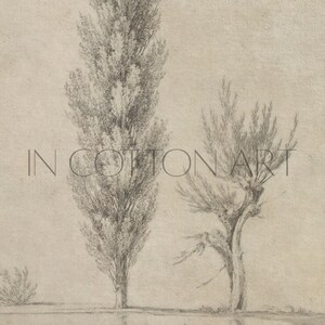 Vintage Beige Tree Drawing Digital Download / Antique Neutral Sketch ...