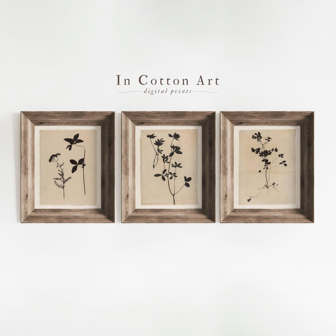 Neutral Botanical Prints SET of 3, Minimalist Eclectic Floral Wall Art ...