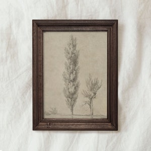 Vintage Beige Tree Drawing Digital Download / Antique Neutral Sketch ...