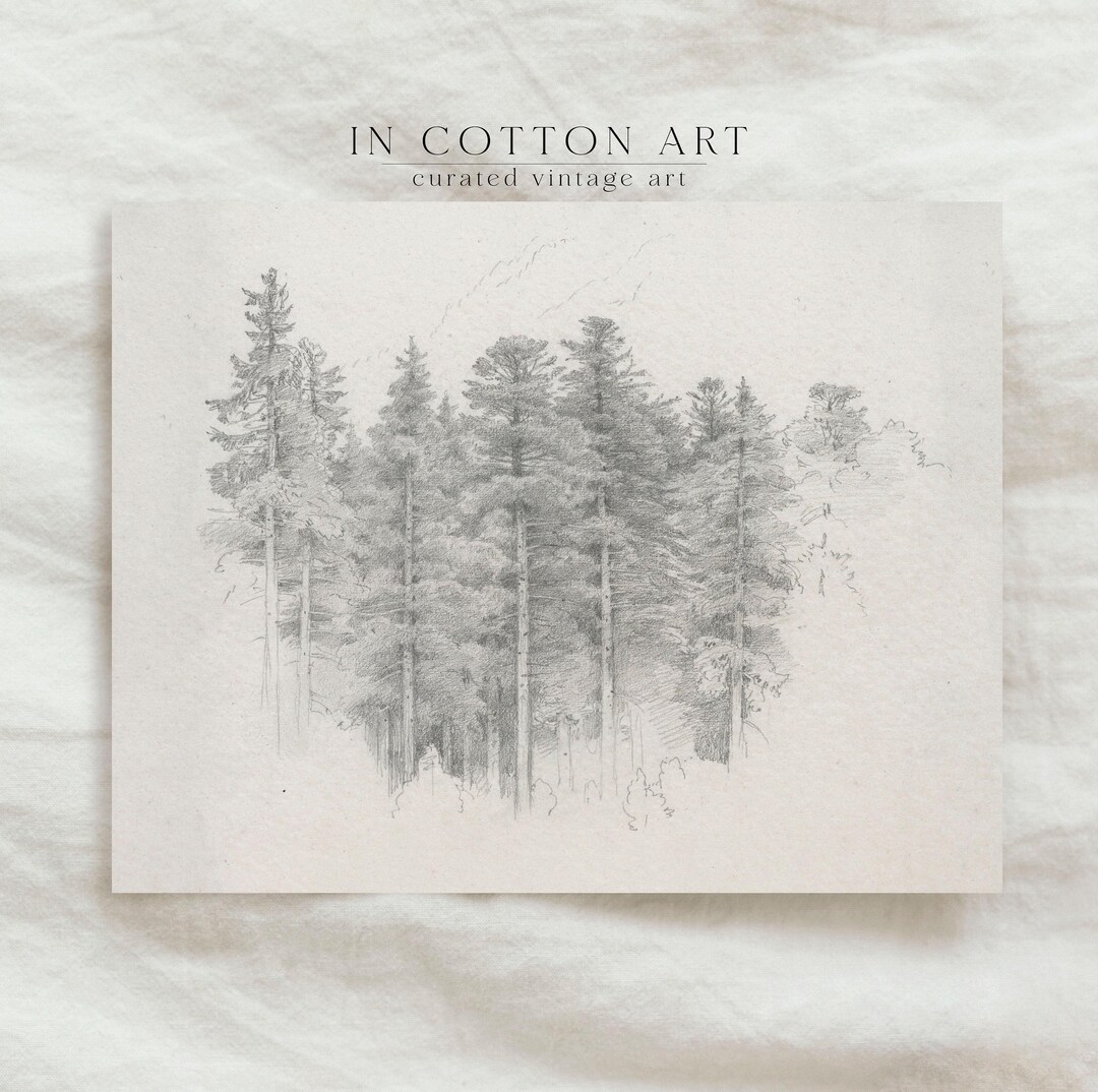 Rustic Tree Sketch / Antique Woodland Drawing PRINTABLE / Art Print ...