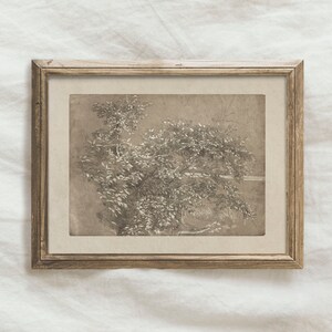 Vintage Foliage Sketch Print / Dainty Botanical Drawing PRINTABLE ...