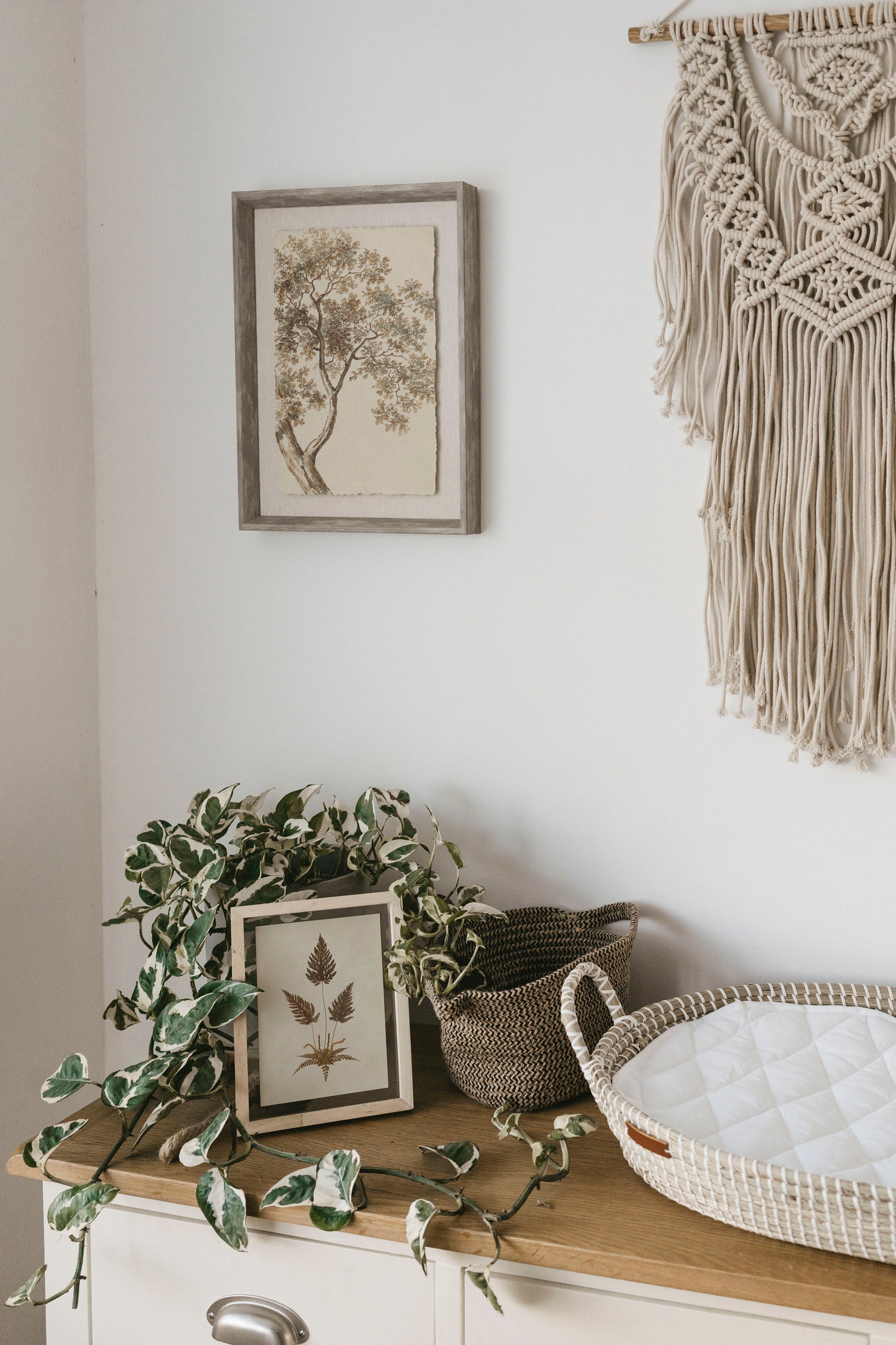 Vintage Rustic Tree Drawing PRINTABLE / Antique Nature Sketch - Etsy ...