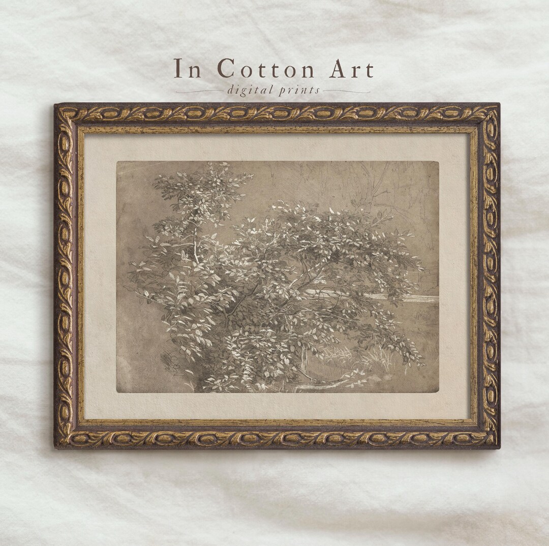 Vintage Foliage Sketch Print / Dainty Botanical Drawing PRINTABLE ...