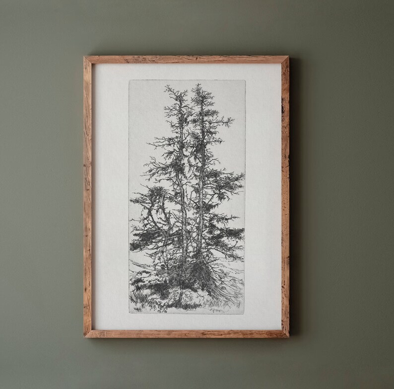 Botanical Sketch Art Printable / Vintage Rustic Drawing / Pine - Etsy