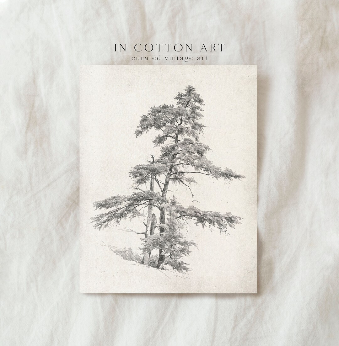 Rustic Pine Tree Drawing PRINTABLE / Vintage Nature Wall Art ...