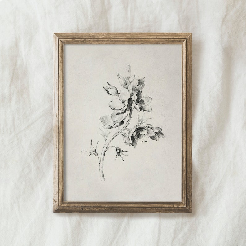 Vintage Sketch Art Printable Minimalist Antique Drawing - Etsy
